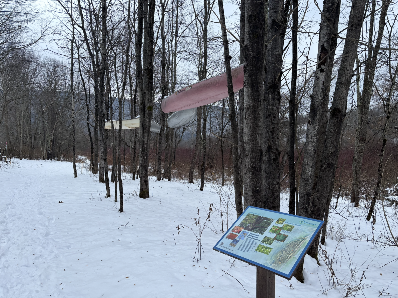 Fun Stuff! - Catskill Water Discovery Center